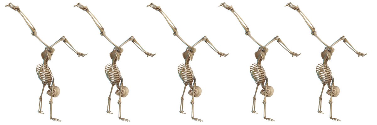 Patient Handouts | Nicky Ellis